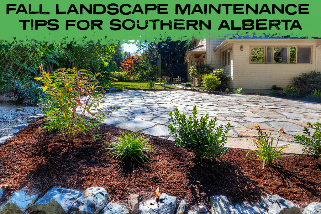 Fall Landscape Maintenance | Lethbridge Landscape Supply